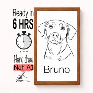 Pet Line Portrait - Painting From Photo, Dog Line Art, Digital Print ...