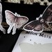 MOON Moth Planner Sticker Sheet - Etsy
