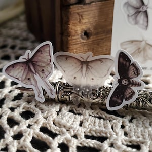 MOON Moth Planner Sticker Sheet - Etsy