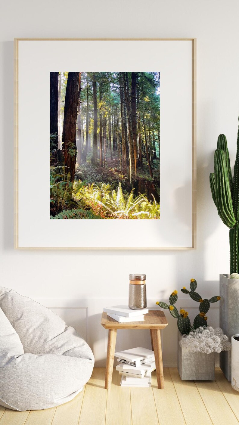 Printable Redwood Forest Photograph, Nature Landscape Wall Art, Green ...