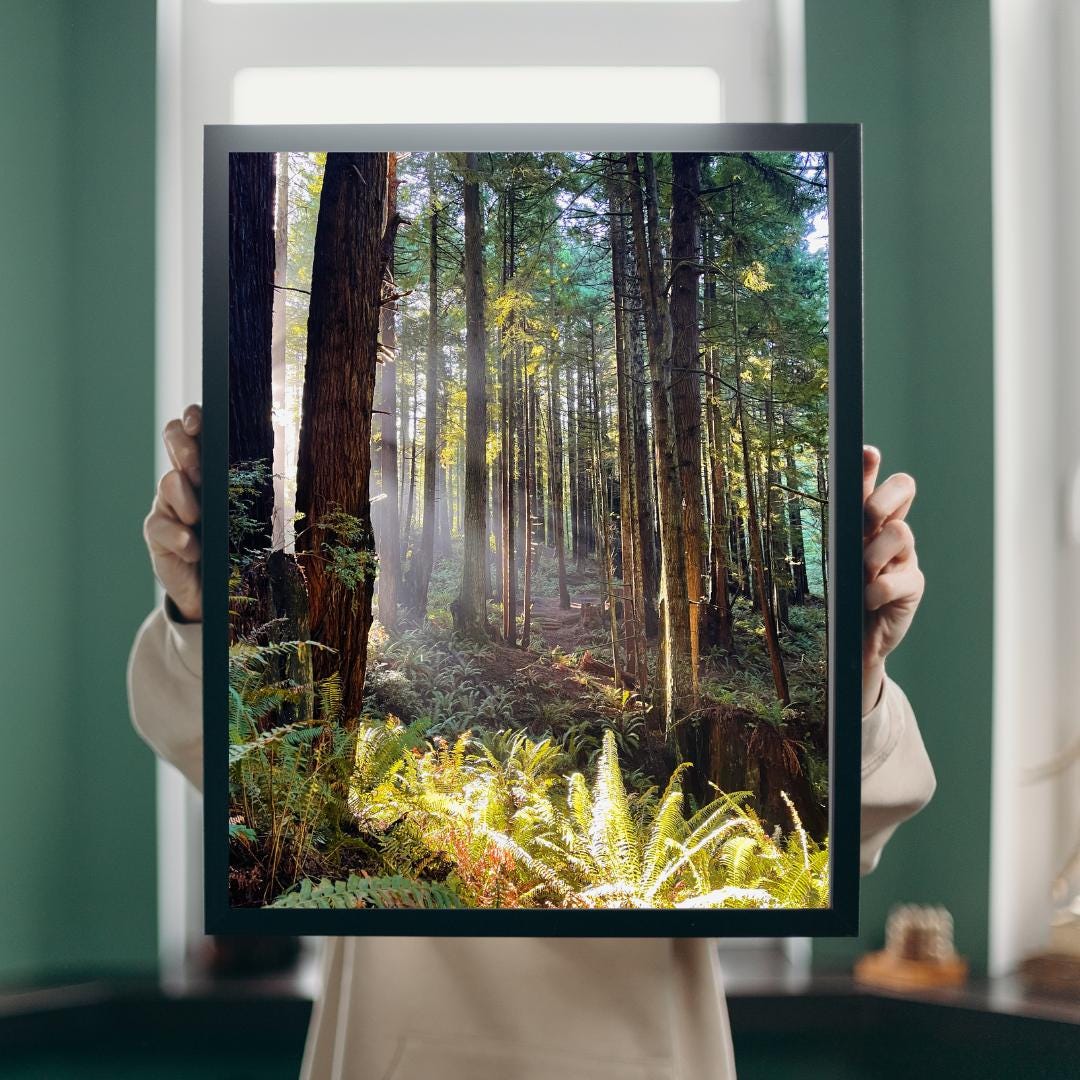 Printable Redwood Forest Photograph, Nature Landscape Wall Art, Green ...