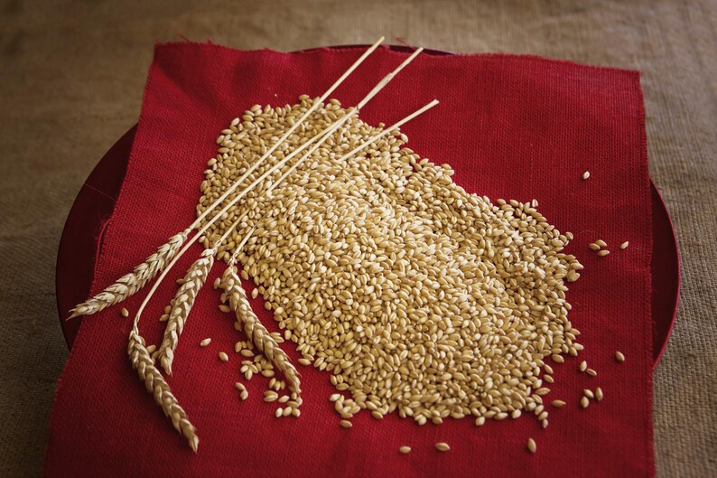 Organic Italian Pastry Flour Sicilian Flour for Cannoli Authentic ...