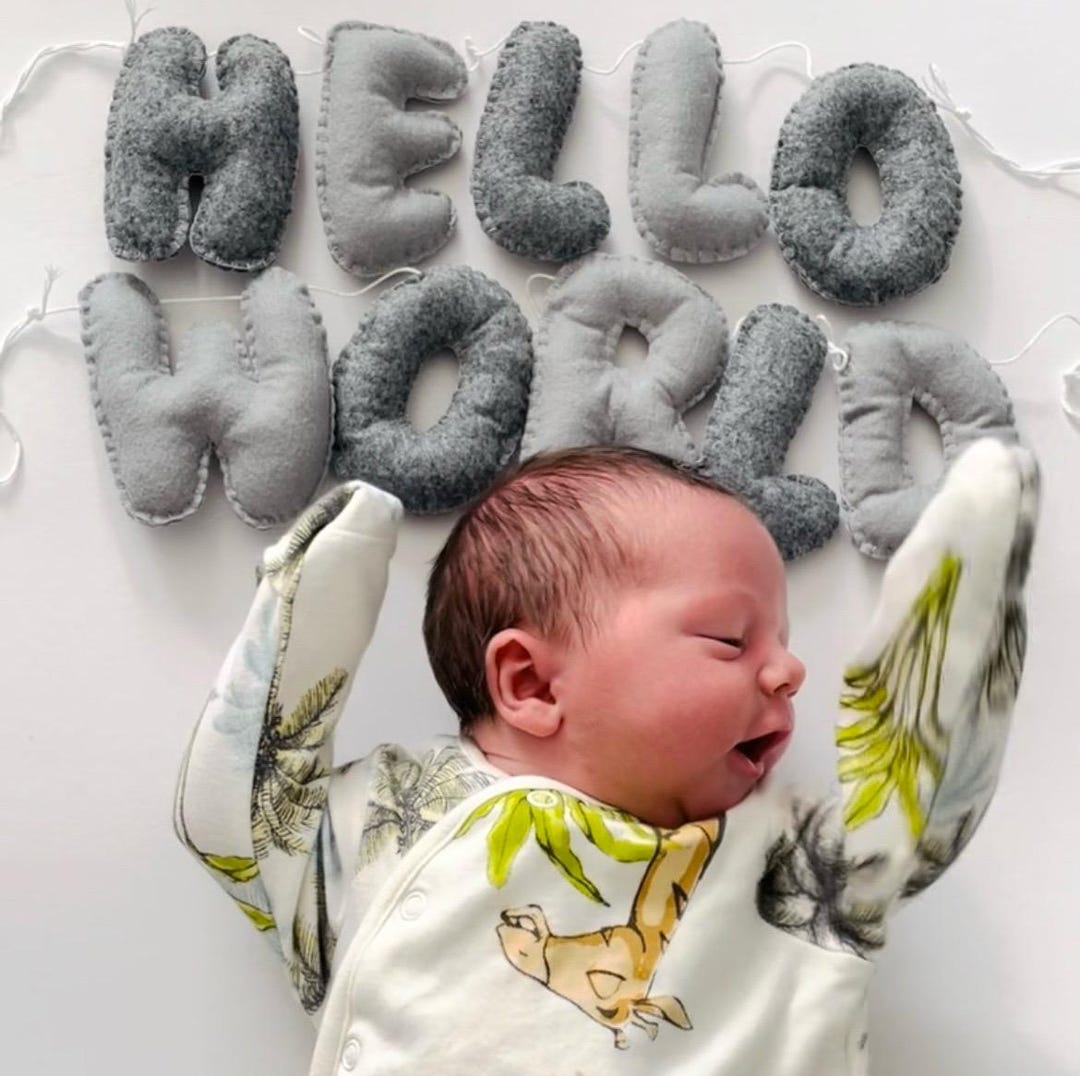 Grey Hello World Banner, New Baby Banner, Newborn Reveal, Pregnancy ...