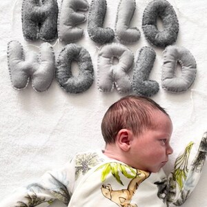 Grey Hello World Banner, New Baby Banner, Newborn Reveal, Pregnancy ...