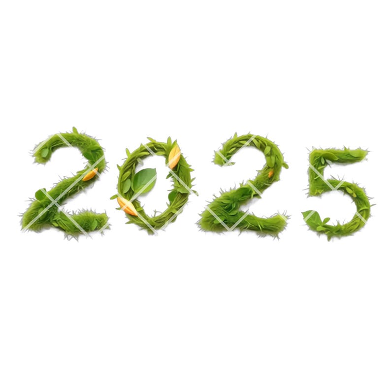 2025 PNG Clipart Eco Friendly New Year Recycling Designs Digital ...