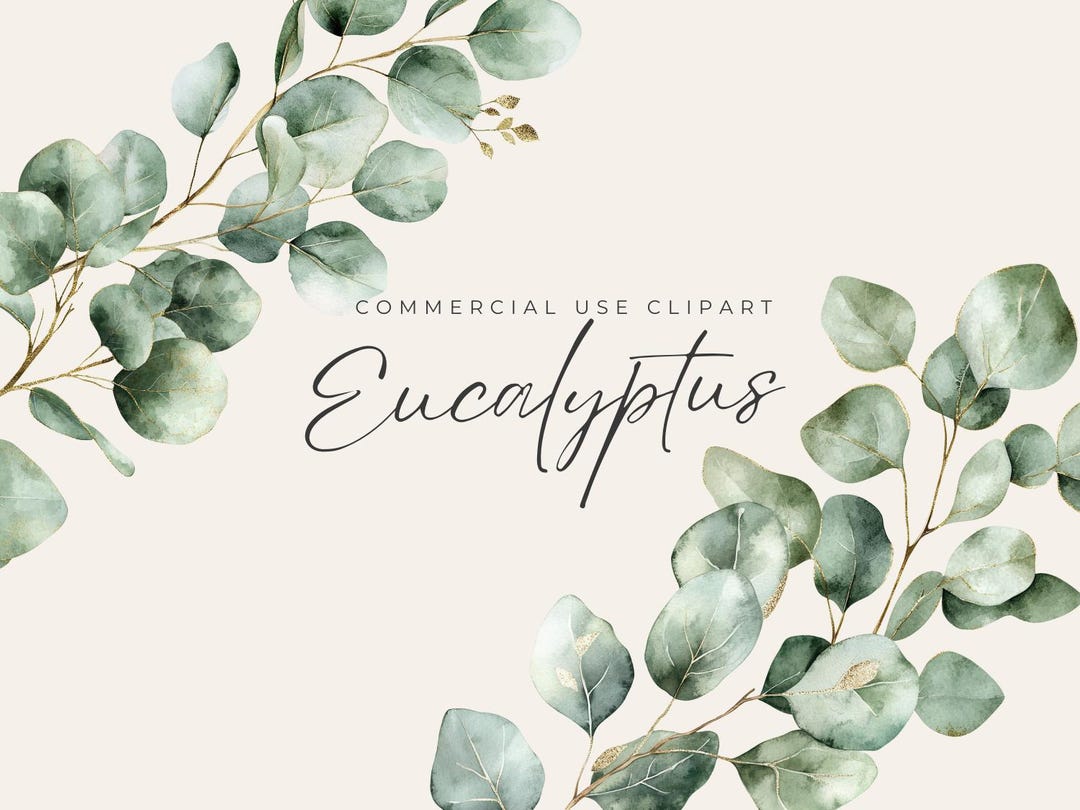 Eucalyptus Watercolor Clipart With Gold Foil Greenery (pngs) - Etsy