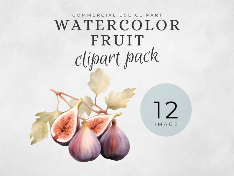 Watercolor Fig Clipart: Mediterranean Fruit PNG Pack (digital Download ...