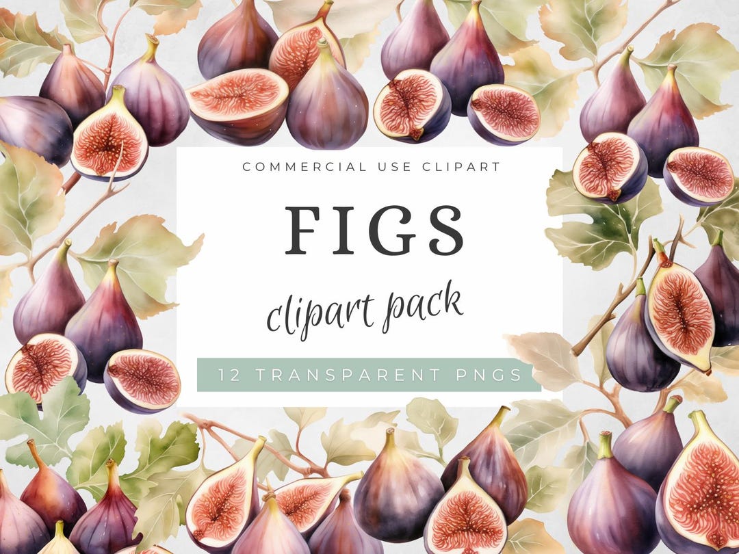 Watercolor Fig Clipart: Mediterranean Fruit PNG Pack (digital Download ...
