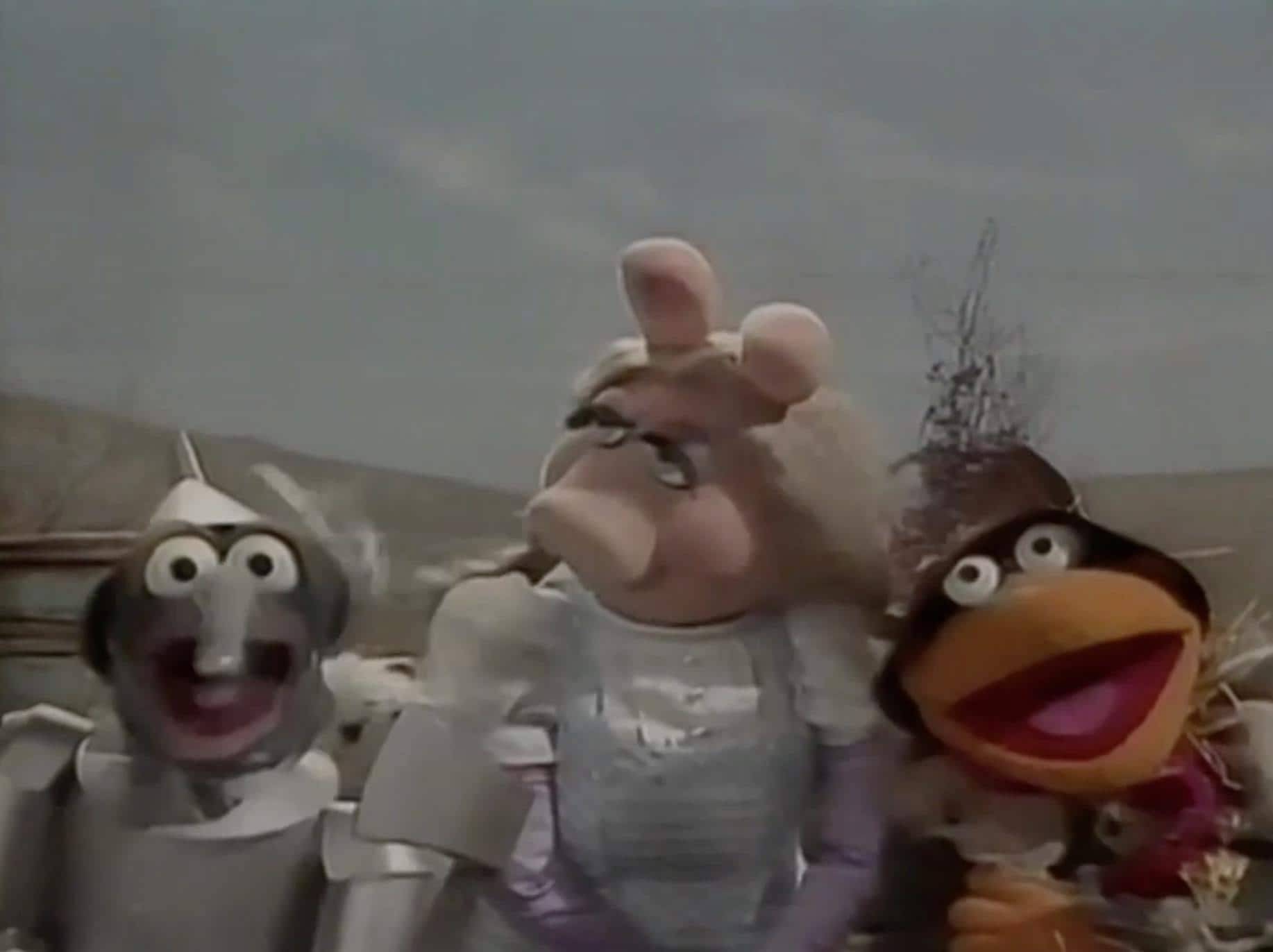 Muppets Archives 3-disc Blu-ray (specials/jim Henson Hour) DISCS ONLY ...