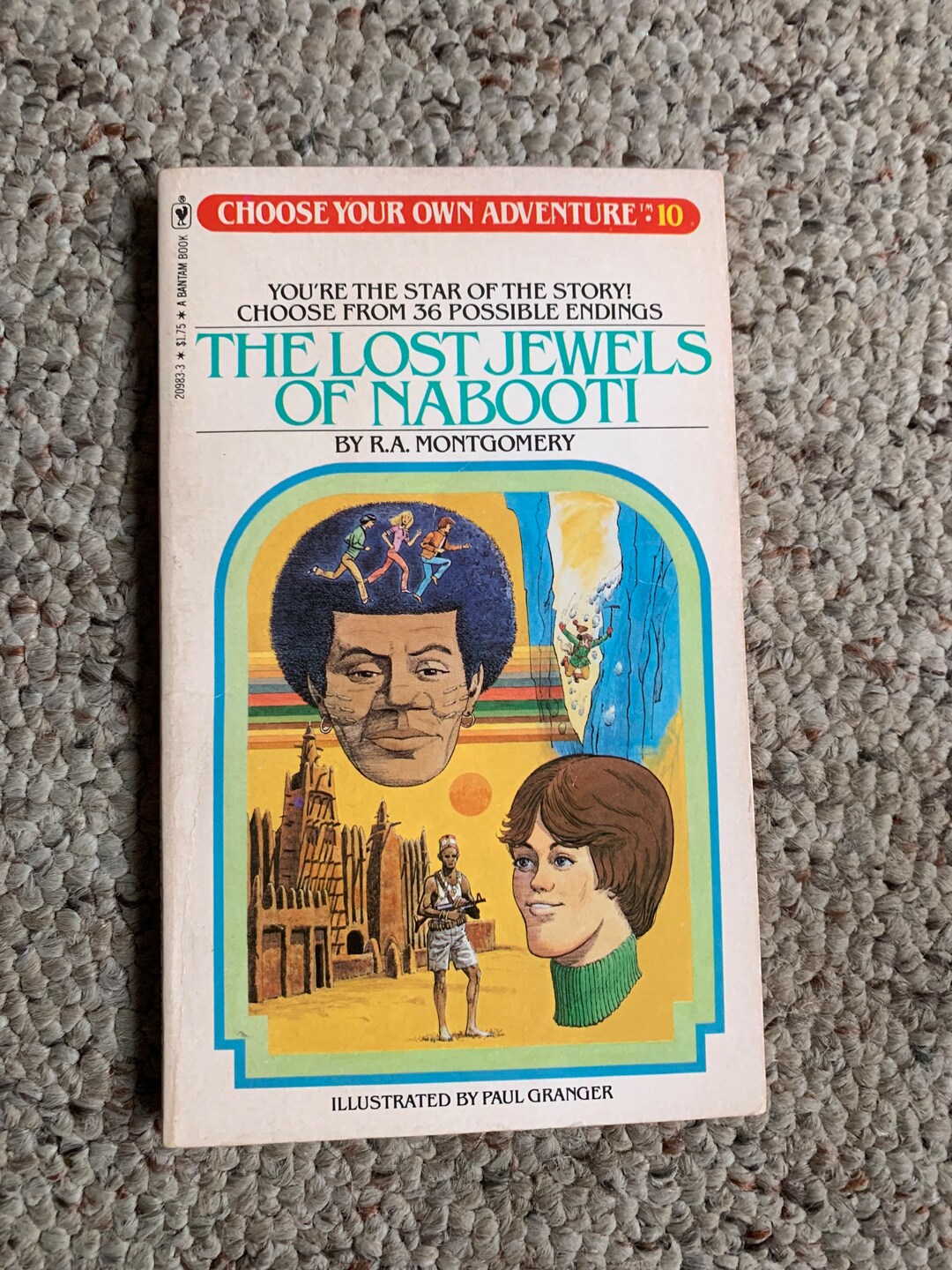 Choose Your Own Adventure: the Lost Jewels of Nabooti Paperback Book - Etsy