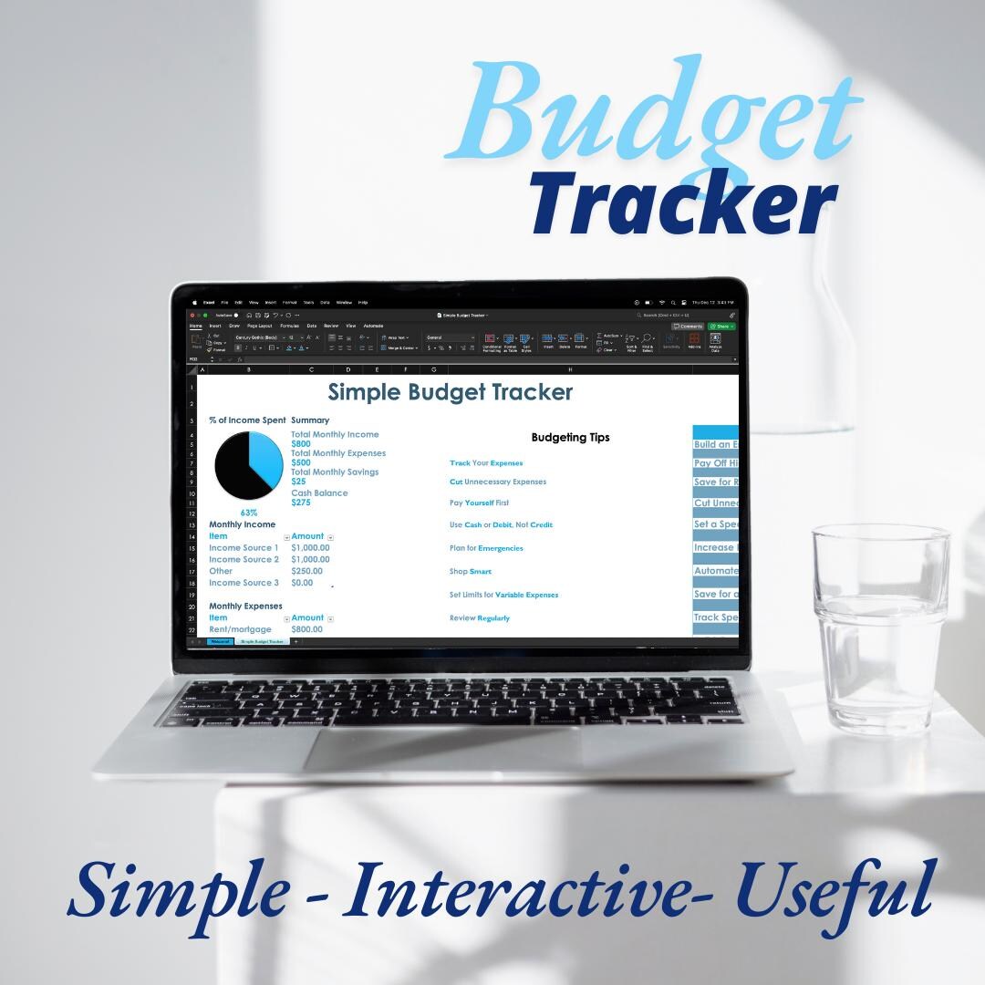 Interactive Simple Budget Tracker, Digital Download Spreadsheet for ...
