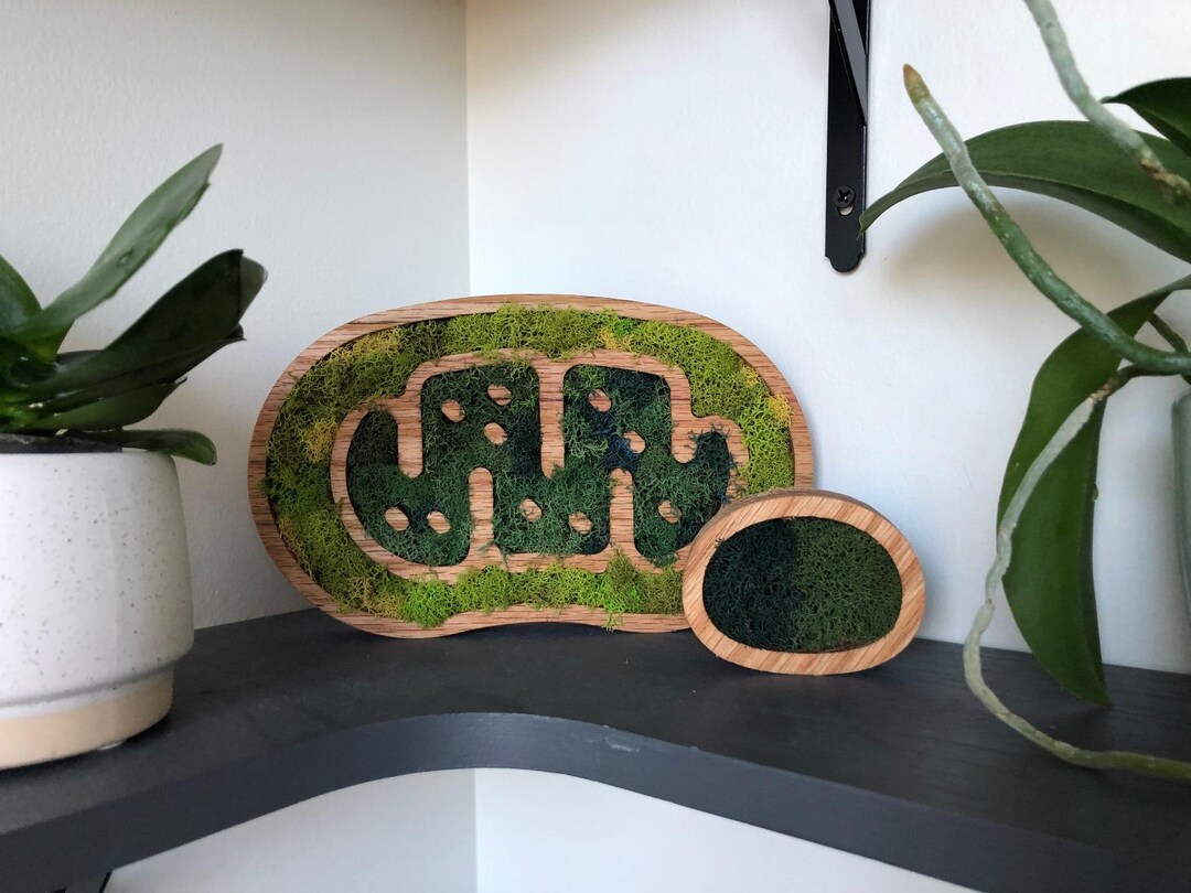 Cell Organelles Wooden Wall Art Bundle - 7pcs With Moss, Handmade - Etsy