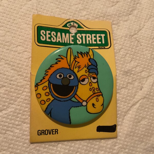 Sesame Street Pins - Etsy