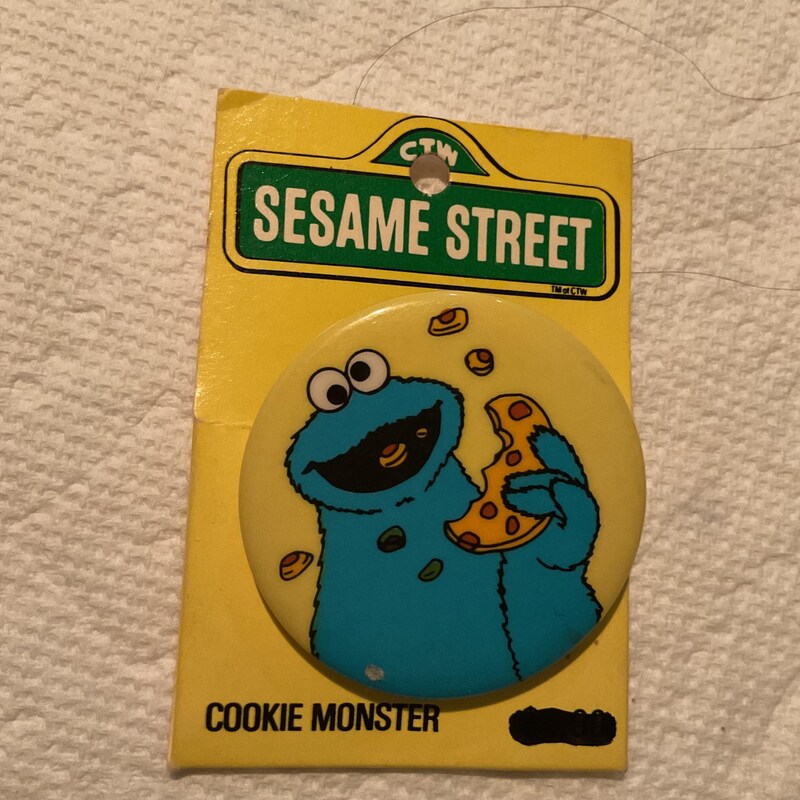 Sesame Street Pins - Etsy