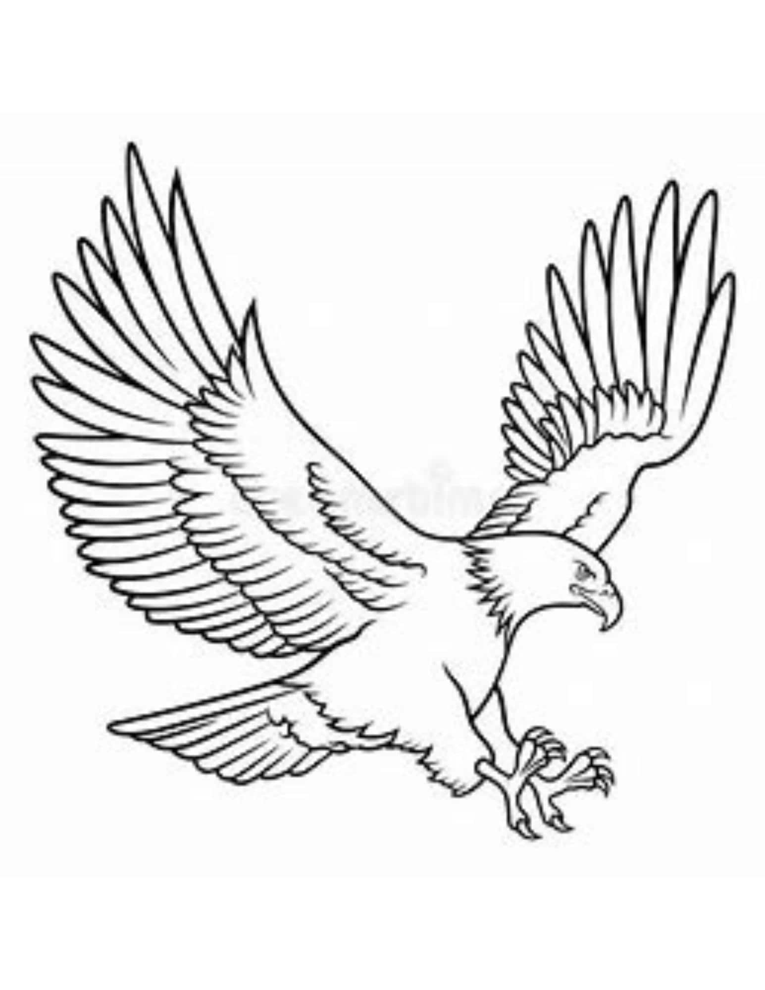 Soaring Bald Eagle - Etsy