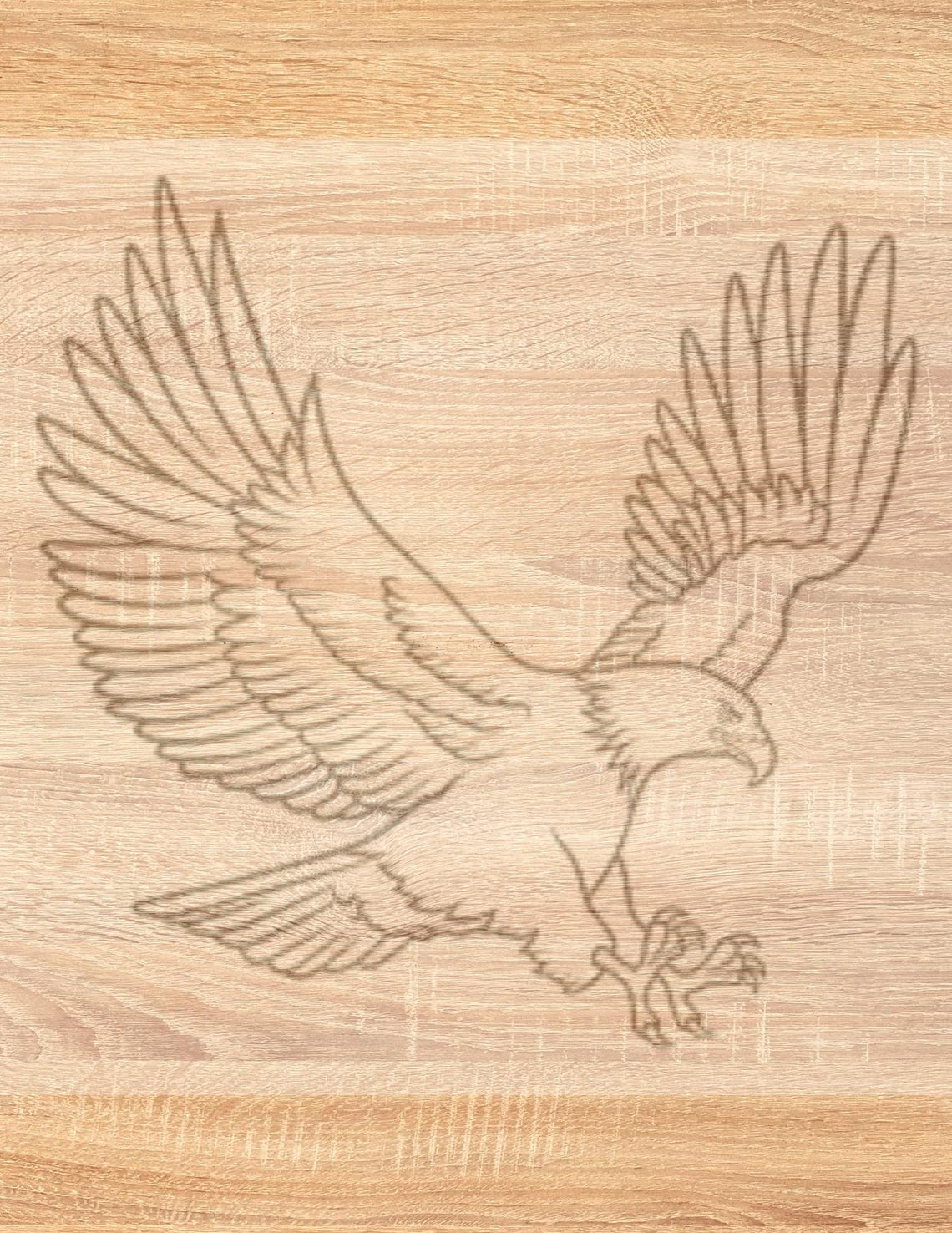 Soaring Bald Eagle | Clean Outline Design for Crafting – Craft Template ...