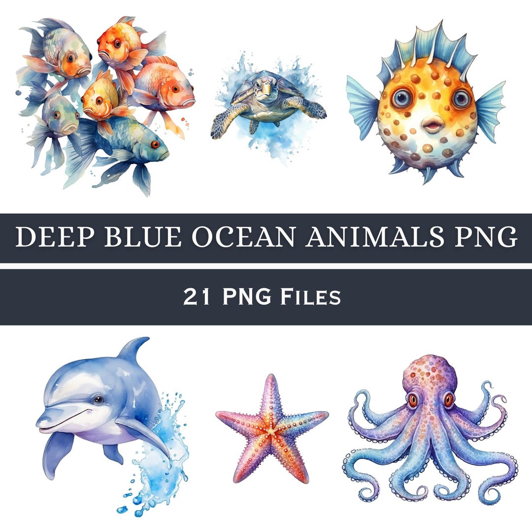Ocean Animals PNG Bundle | Sea Life Clipart Pack | Marine Creatures ...