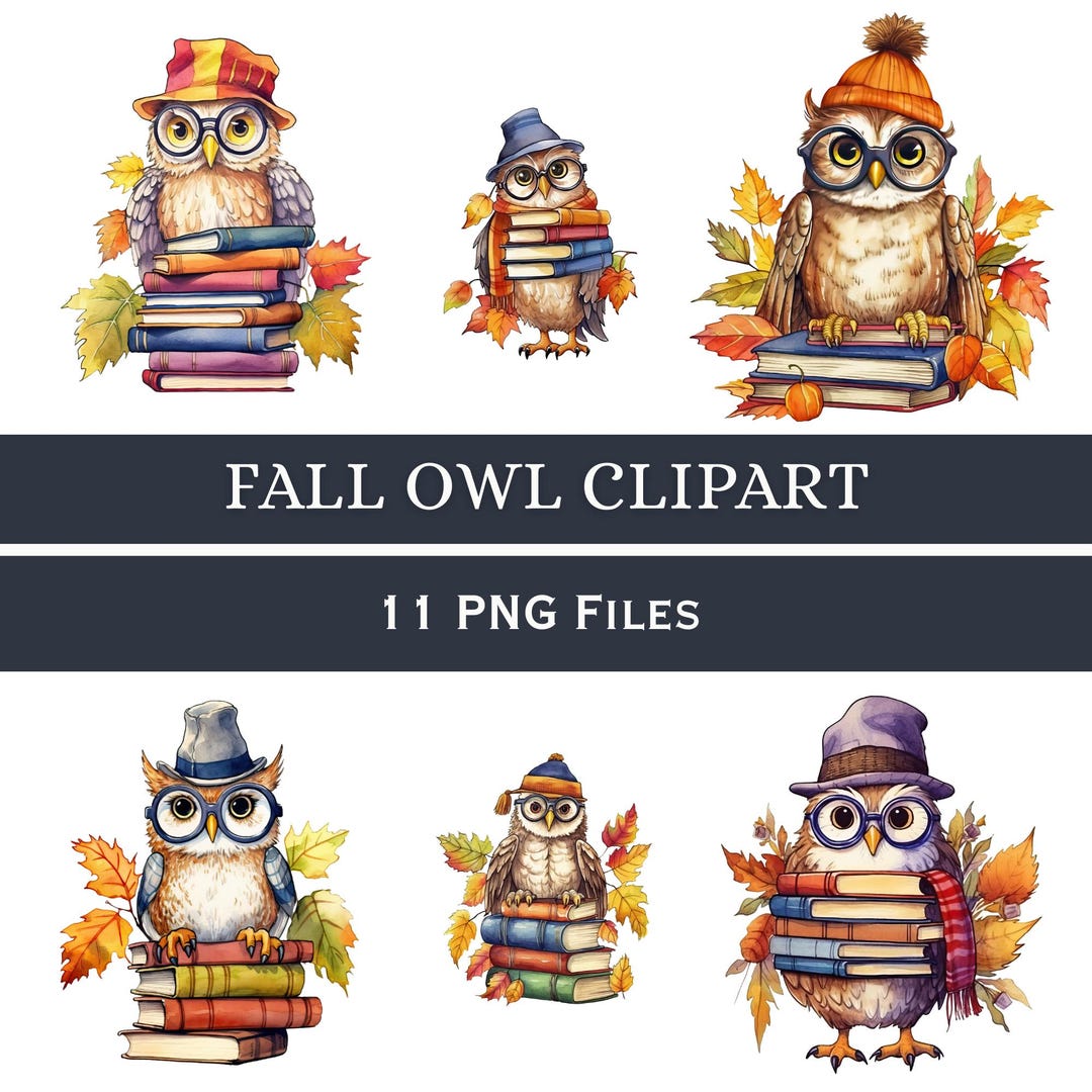 Fall Owl PNG Bundle | Autumn Clipart Pack | School Teacher Graphics ...