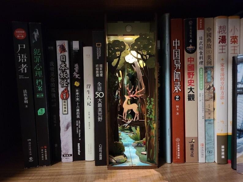 Magic Pharmacist DIY Book Nook Kit - Alchemist Apothecary Miniature ...