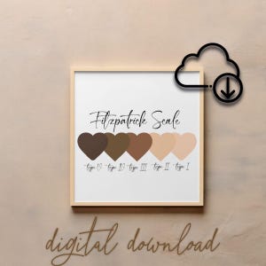Fitzpatrick Scale Wall Art Print - Esthetics Treatment Room/spa Decor ...