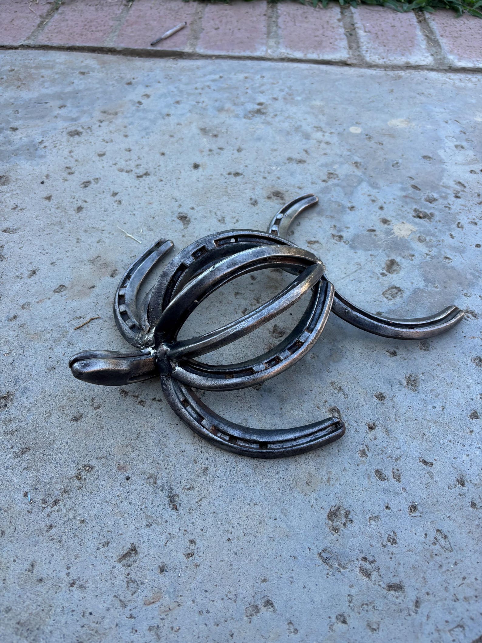 Horseshoe Art // Turtle - Etsy