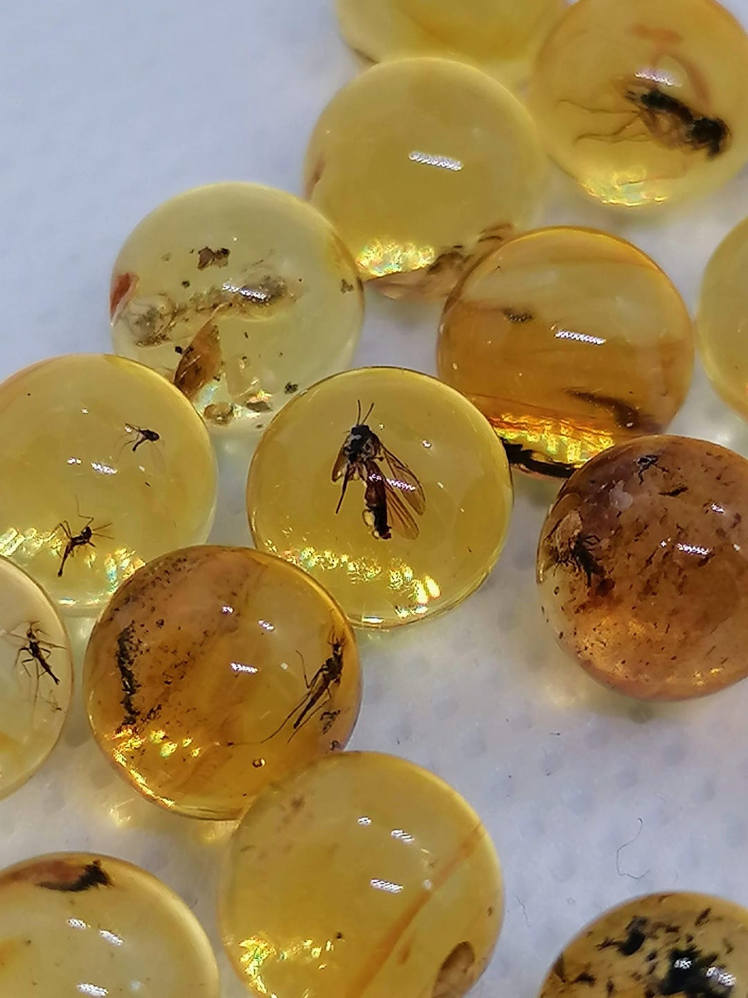 Round Insect Beads Handmade 7mm, Fossil Amber Beads, Jewelry Making ...