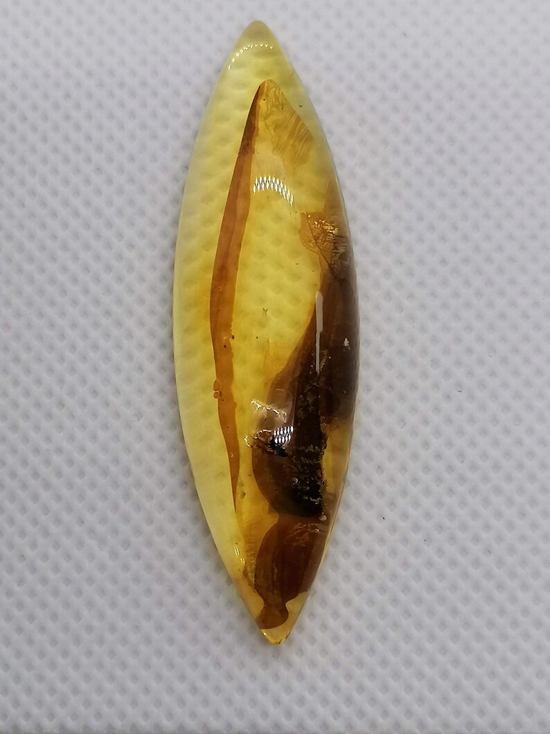 Natural Amber Insect Long Cabochon, Handcrafted Amber Jewelry, Amber ...