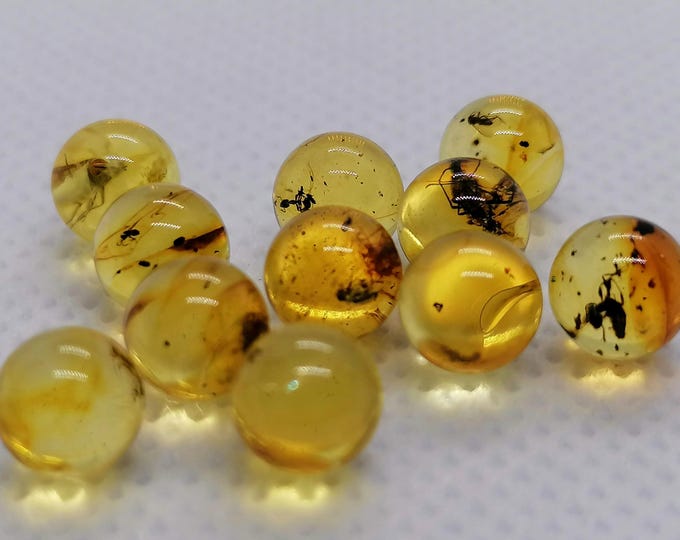 Natural Baltic Amber Beads With Fossil Insect, 6,5 Mm Beads, Insect ...