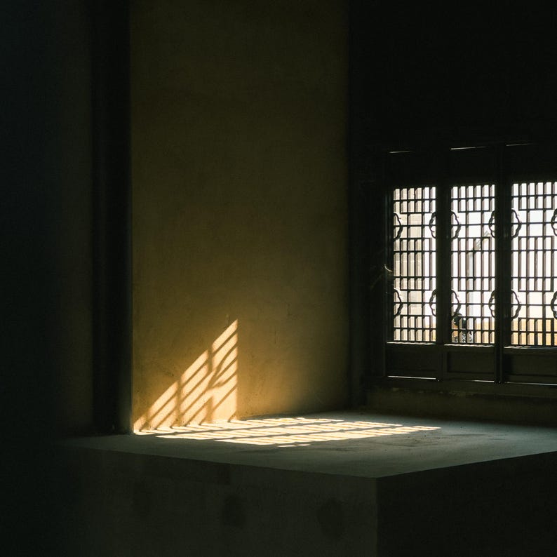 Kodak Portra 400 Lightroom Preset: 35mm Film Filter - Etsy