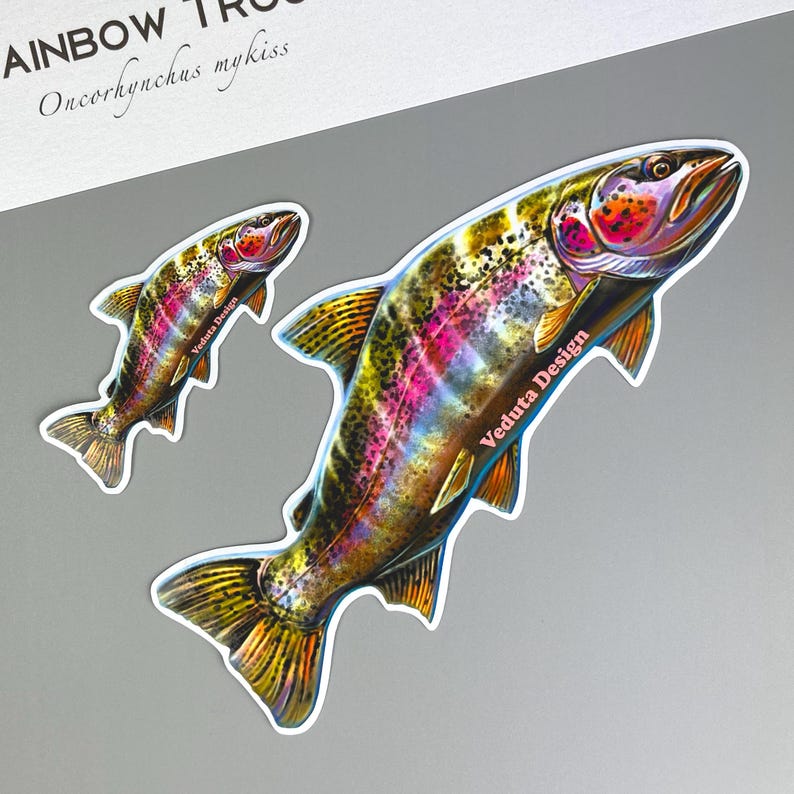 Rainbow Trout Fly Fishing Sticker – Hand-drawn Fish Decal (4" & 8 ...