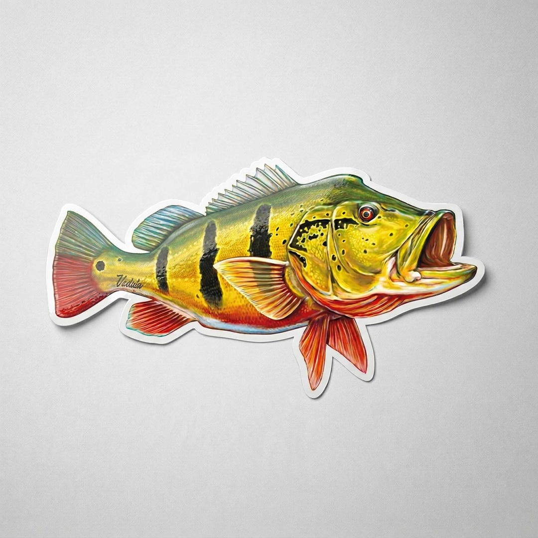 Peacock Bass Fishing Sticker: Angler Gift, Waterproof Vinyl Decal - Etsy