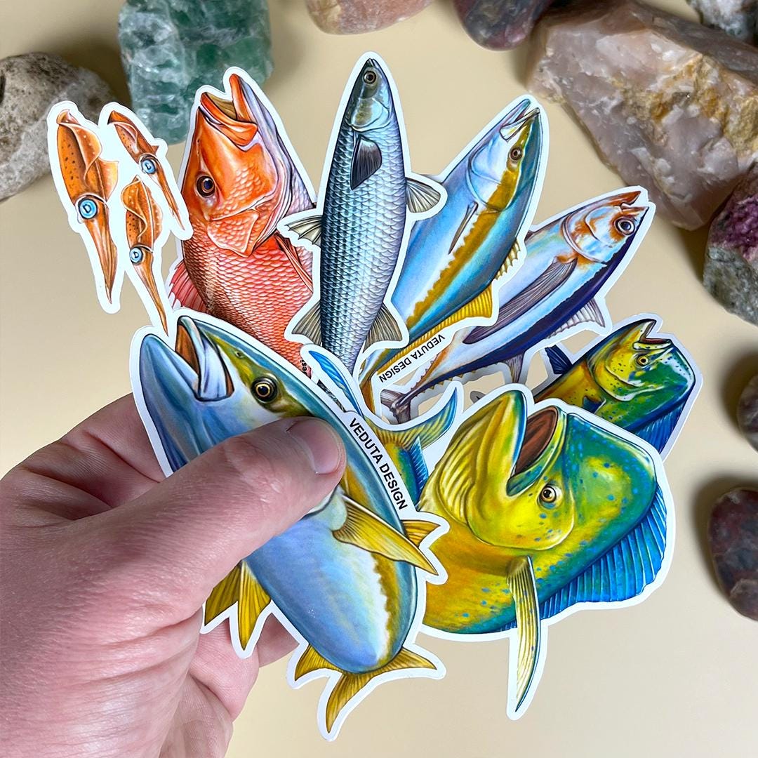 Saltwater Fish Stickers: Angler Gift, Waterproof Decals, 7-piece Set - Etsy