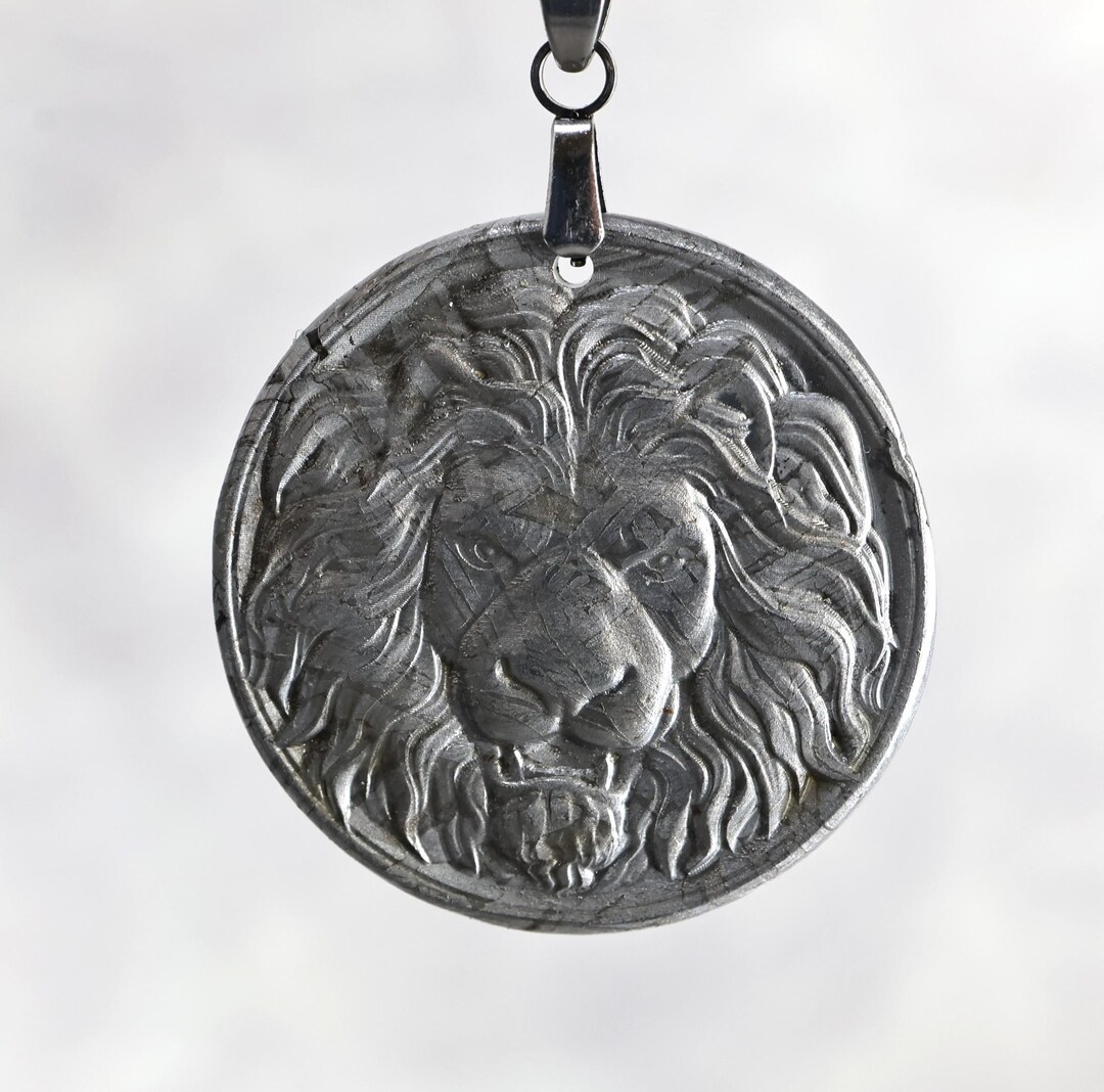 Iron Meteorite Carving Lion Pendant,naturally Meteorite Jewelry Charm ...