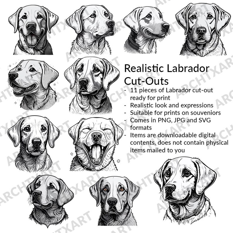 11 Realistic Labrador Dog Cut-outs - PNG, SVG, JPG Formats - Printable ...