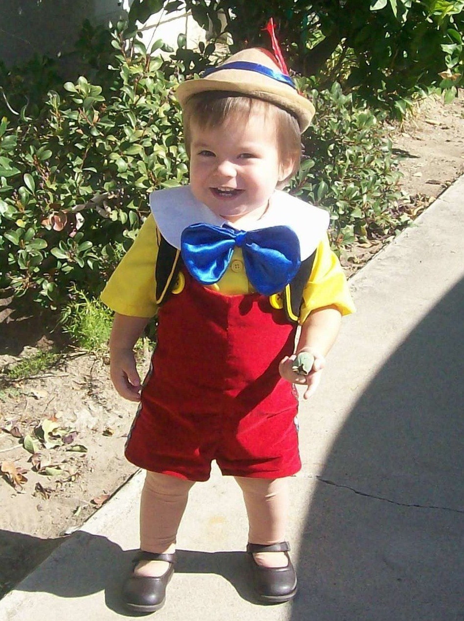 Pinocchio Costume Cosplay Red Velvet Lederhosen October Fest Tyrolean ...