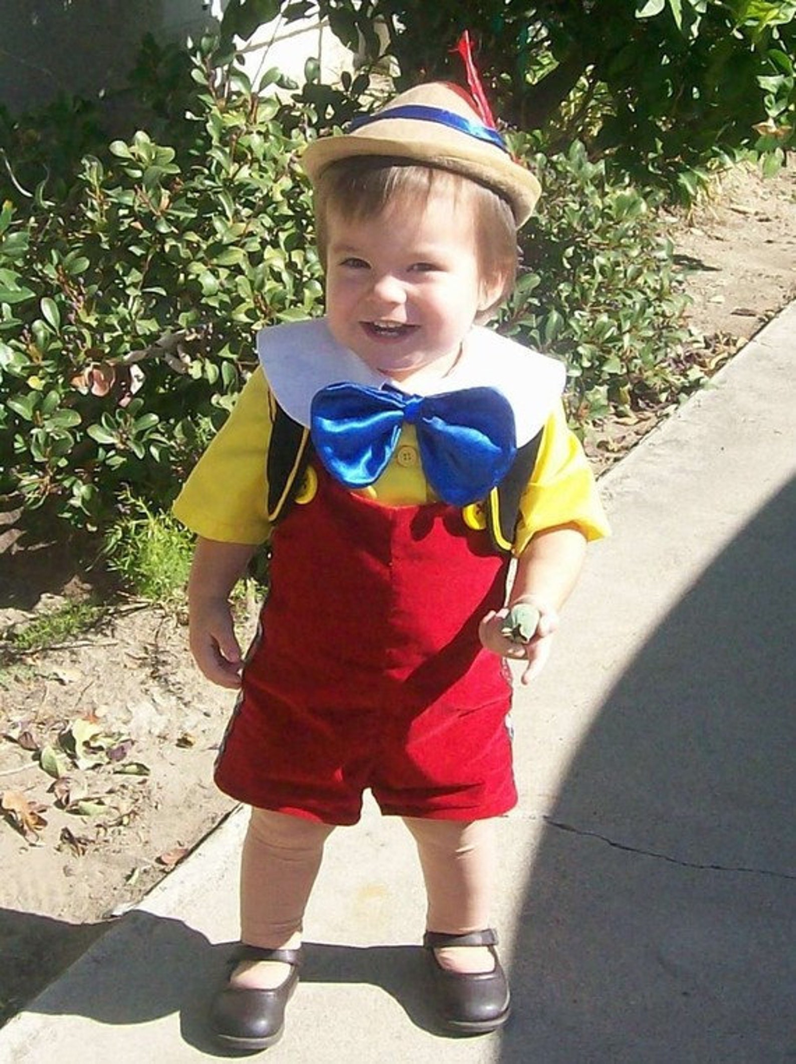 Pinocchio Hat Tyrolean Alpine Style Hat Tan Wool Felt Feather - Etsy