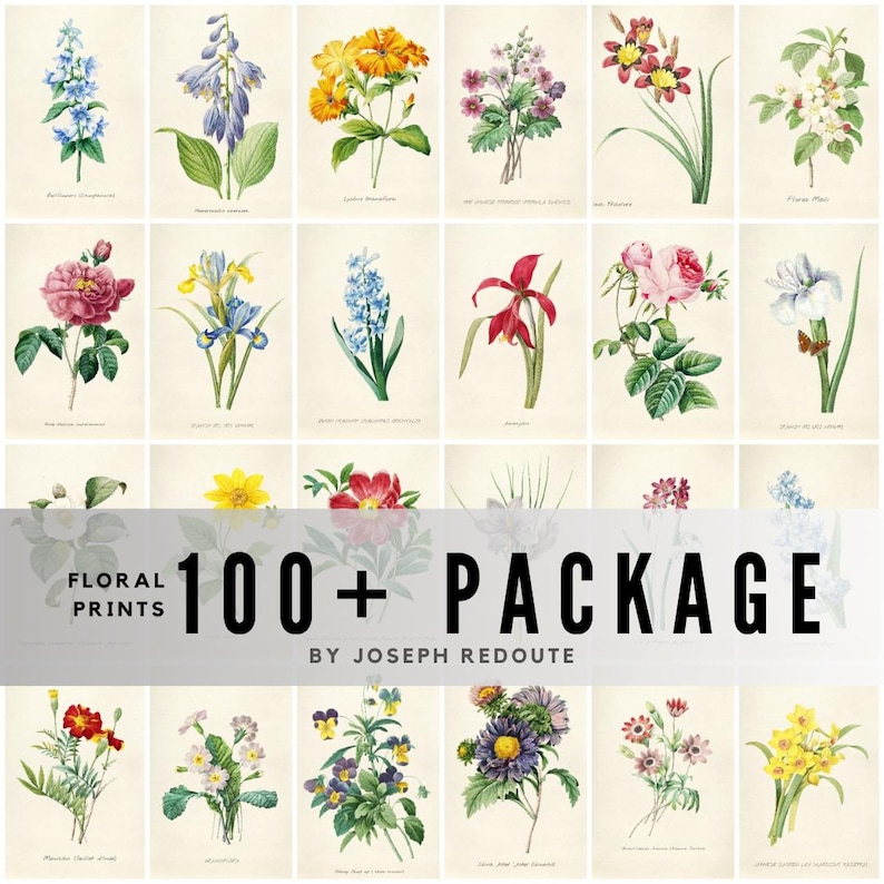Vintage Botanical Prints: 100+ Joseph Redouté Floral Illustrations ...