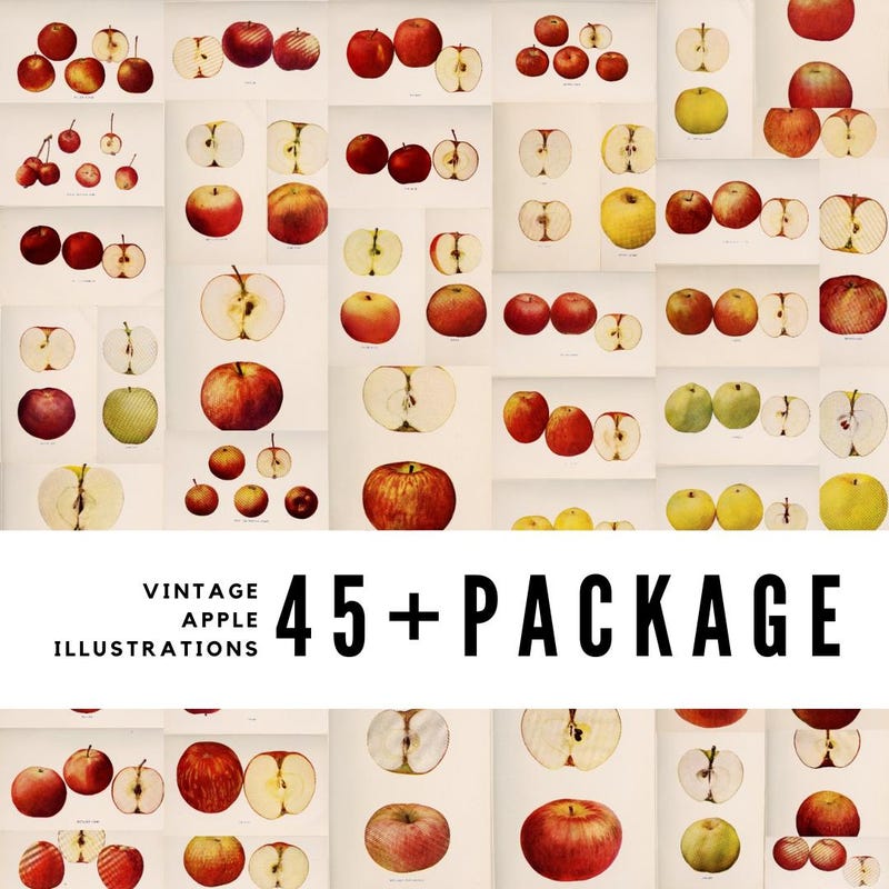 Apple Poster - Etsy
