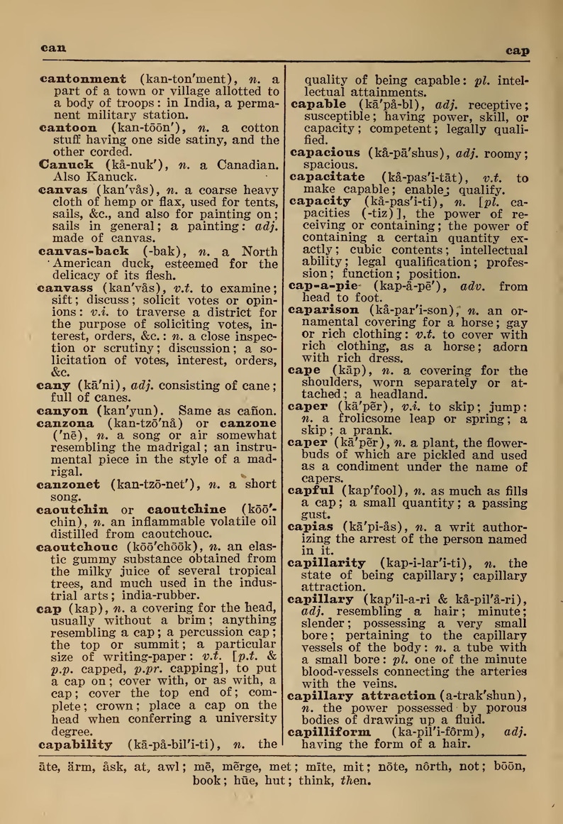 Vintage Dictionary Pages A-D: High-resolution Digital Ephemera (270 ...