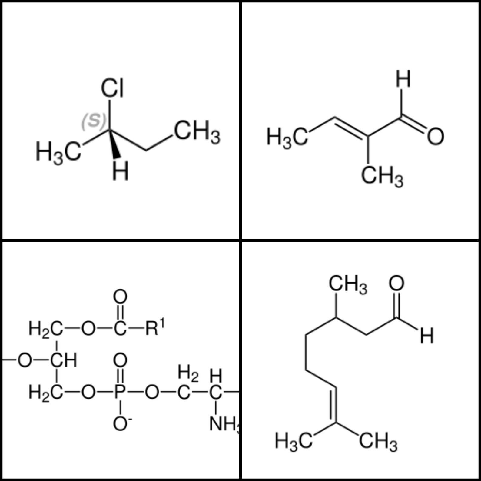 Chemical Formulas SVG Bundle: 2200+ Science Vector Graphics (digital ...
