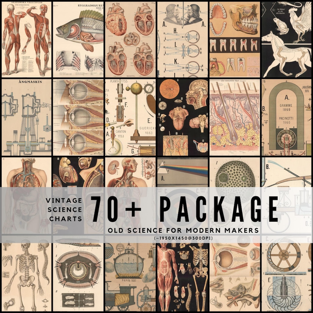 70+ Vintage Science Charts – High-res TIFF Educational Prints for ...