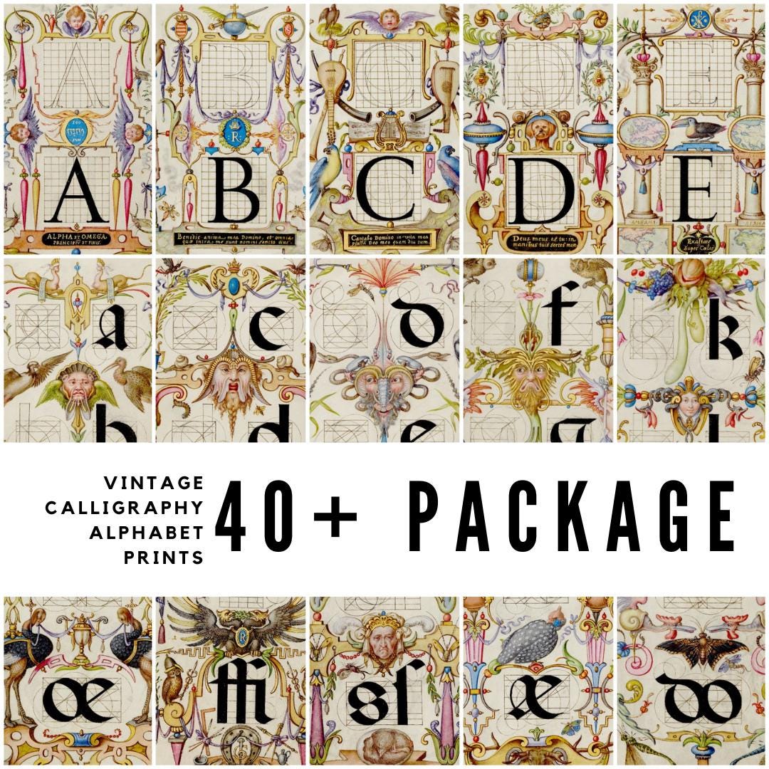 Vintage Calligraphy Alphabet Illustrations: 16th Century Letters (digital Download) - Etsy