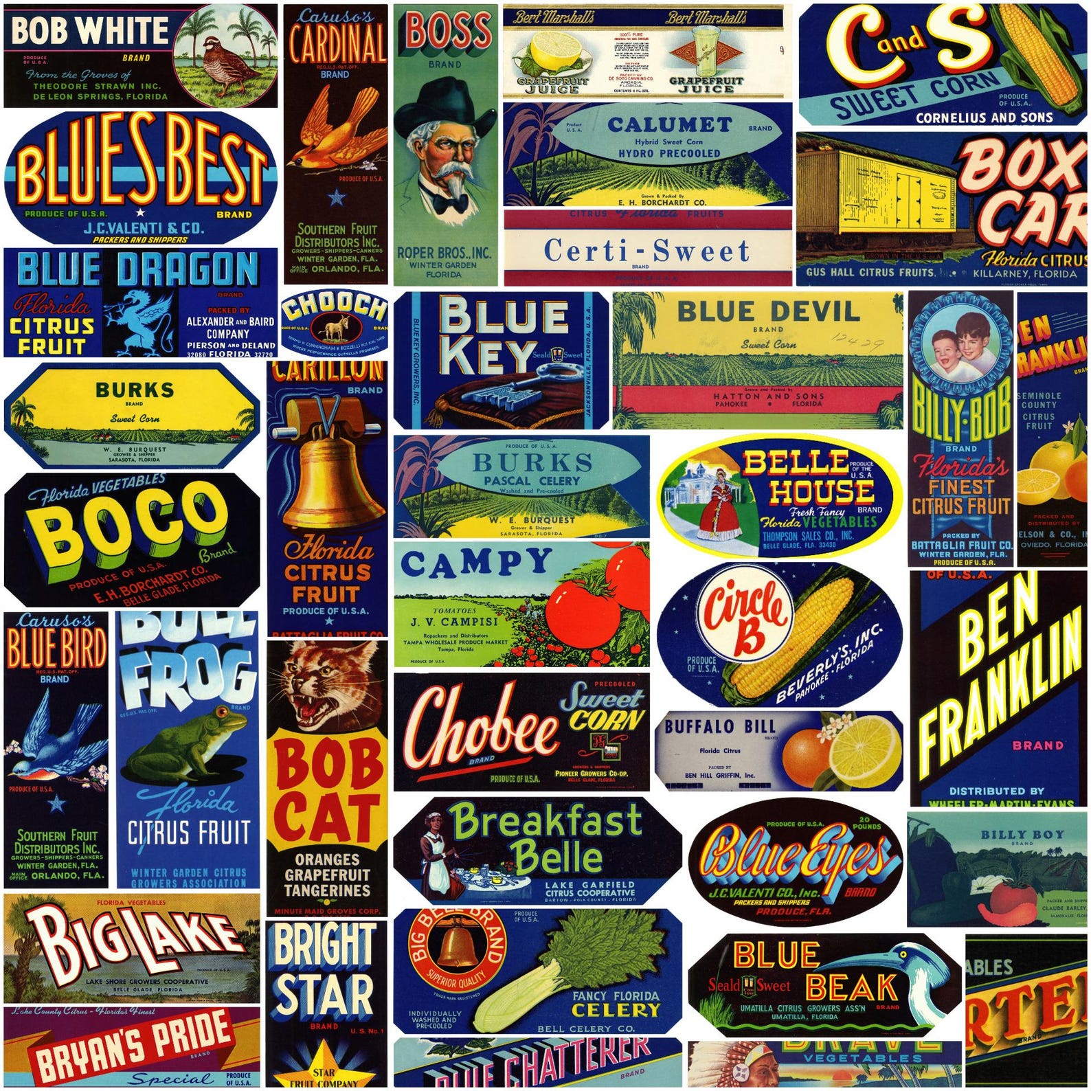 650+ Vintage Florida Crate Labels (1930–1950) / Fruit & Produce ...