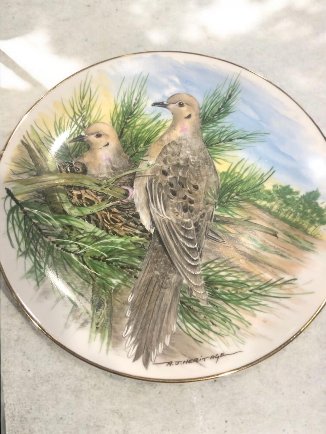 Vintage Mourning Dove Plate: Southern Living Collectible, A.J. Heritage ...