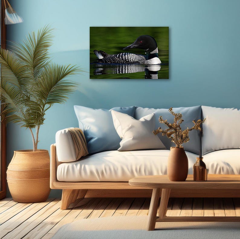 Common Loon Photograph: New England Wildlife Art Print (digital ...