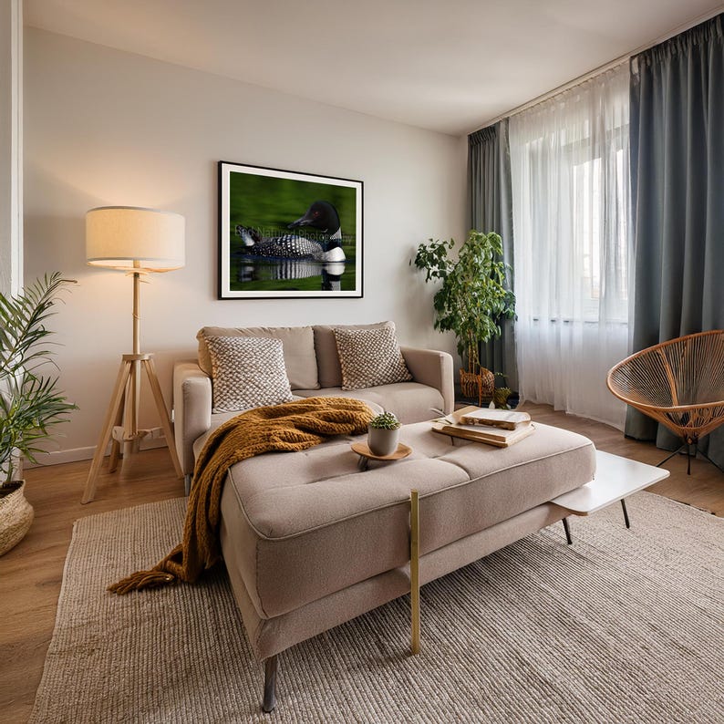 Common Loon Photograph: New England Wildlife Art Print (digital ...