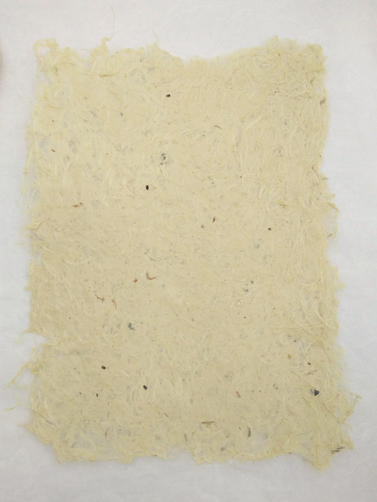 Milkweed Fluff Paper, Handmade Paper, Plant Paper, Milkweed Fluff Paper ...