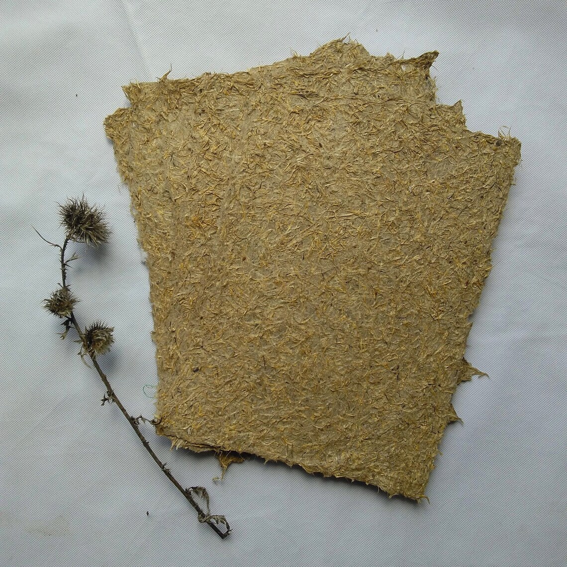 Thistle Paper Handmade Paper Plant Paper Thistle Seed Head | Etsy