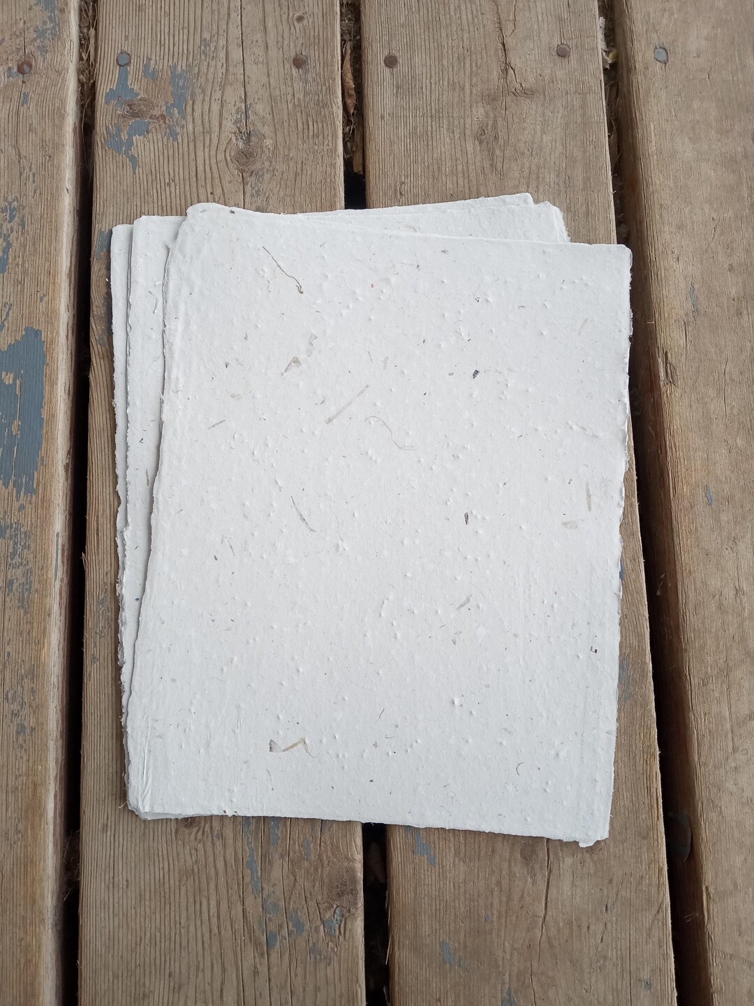 Purple Bee Palm Seed Paper, Bee Palm Paper, Seed Paper, Purple Bee Balm ...