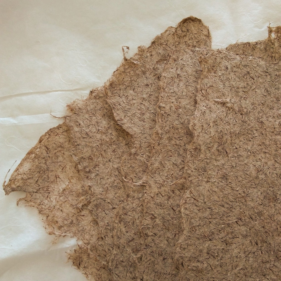 Cattail Fluff Fiber Paper, Handmade Paper, Plant Paper, Cattail Fluff ...
